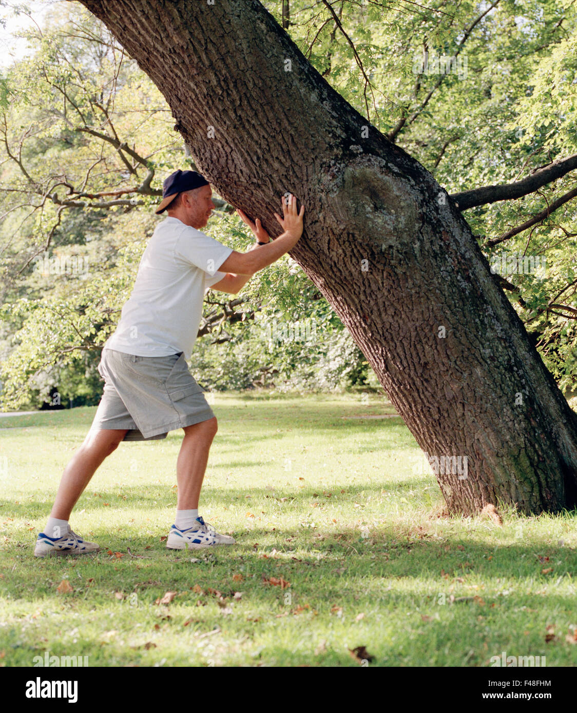 Man doing stretching exercises against a tree trunk, Sweden Stock Photo ...