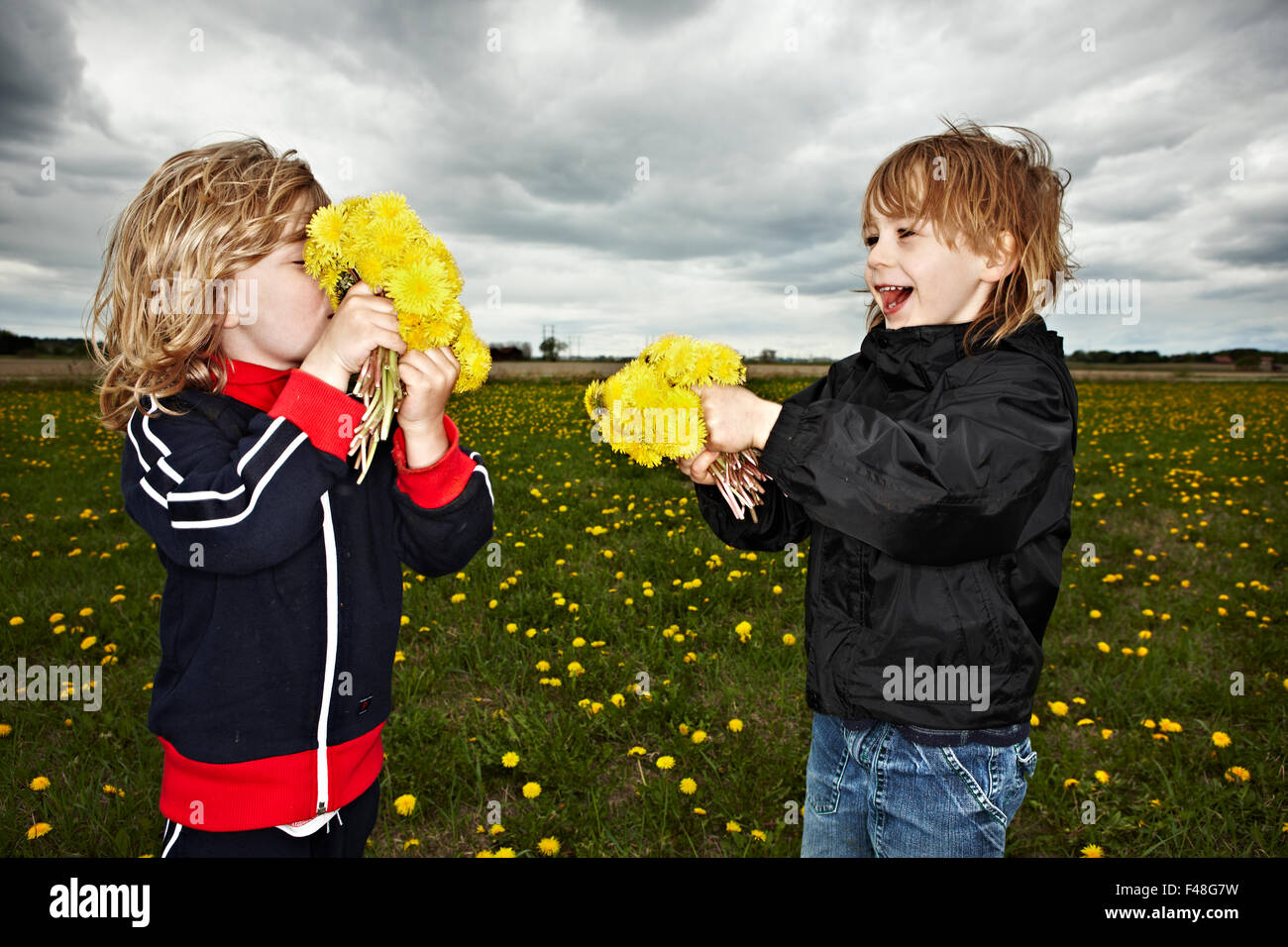 Equal flowers hi-res stock photography and images - Alamy