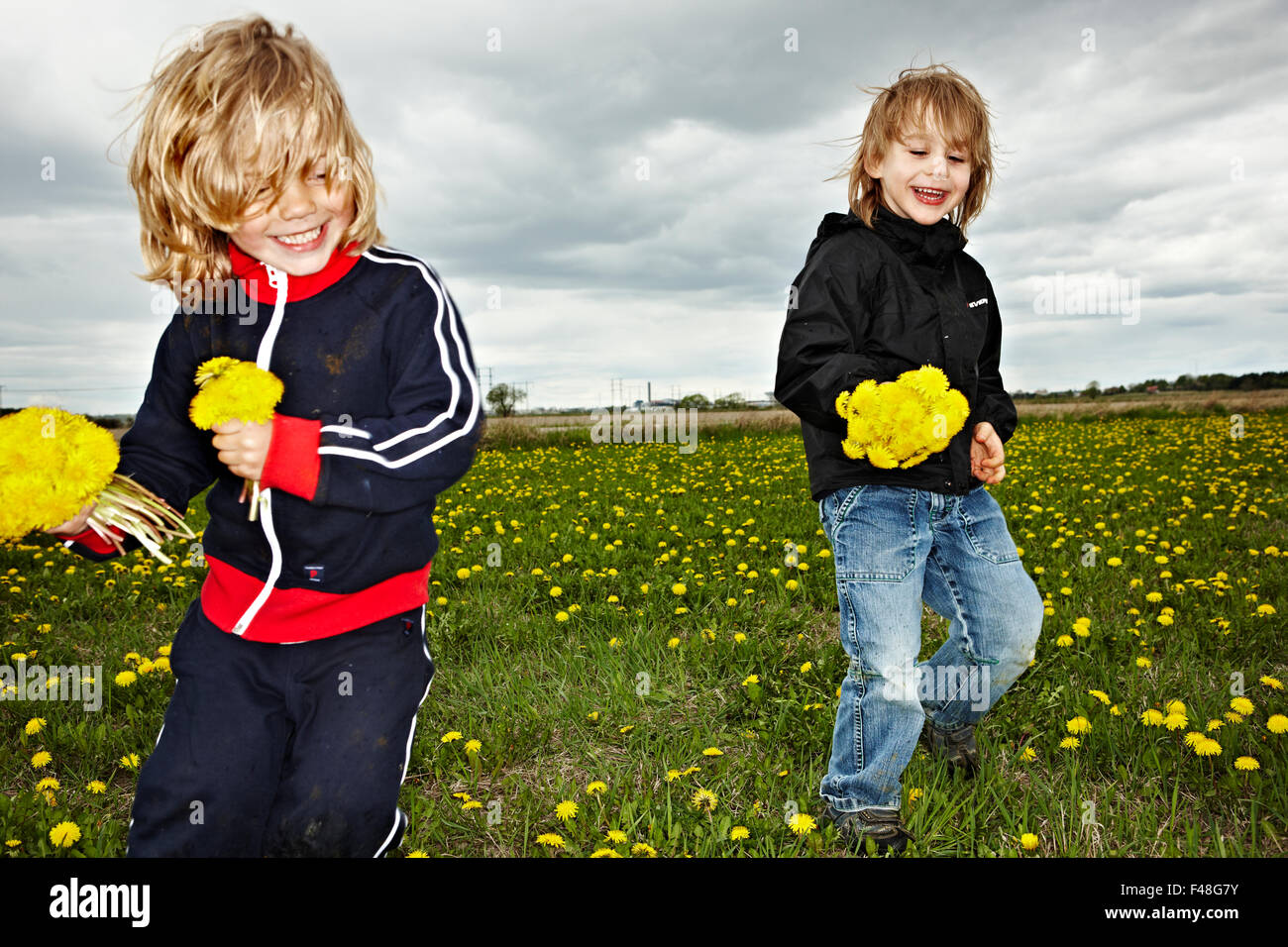 Two boys picking flowers, Sweden Stock Photo - Alamy