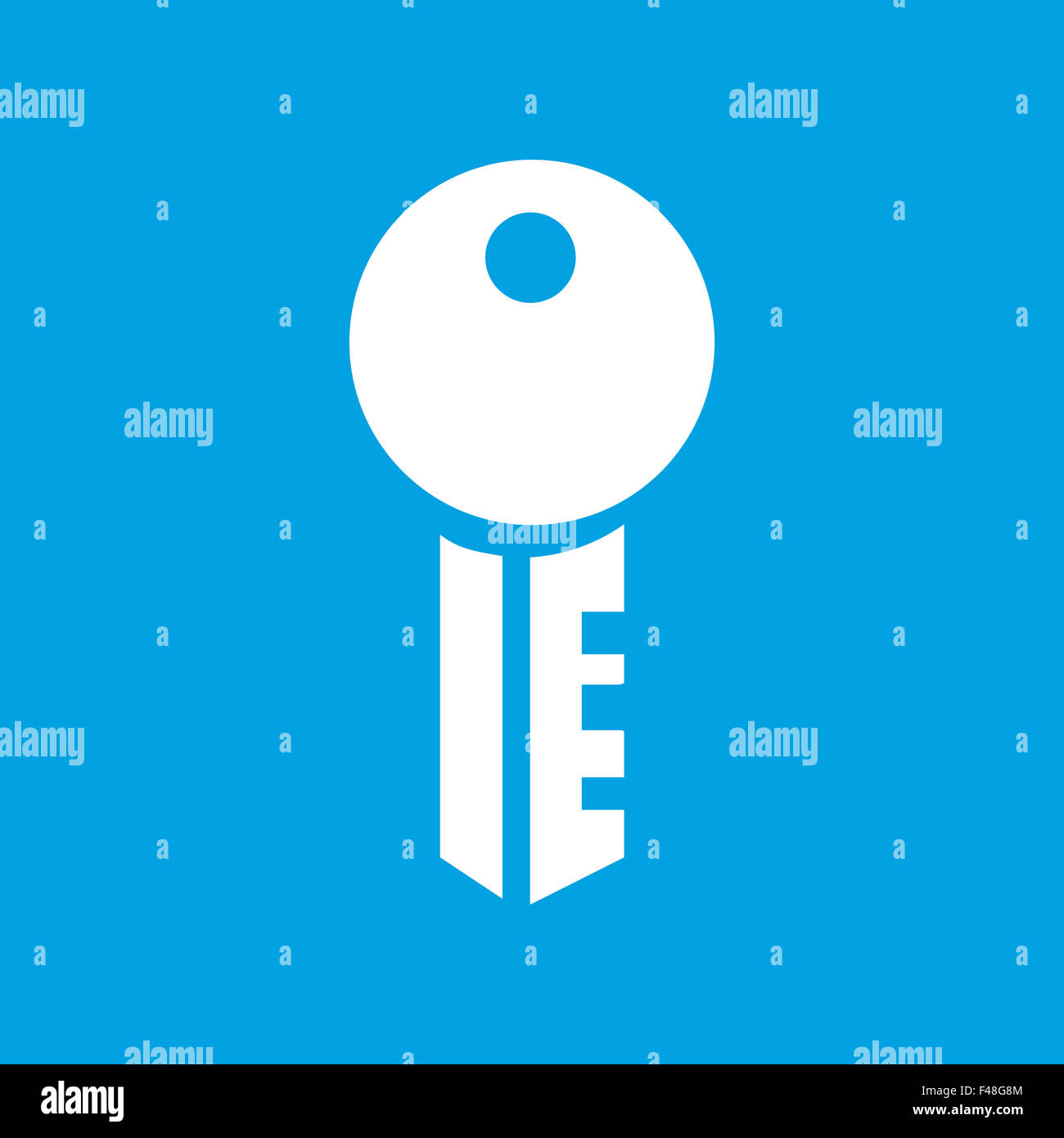 Key white icon Stock Photo - Alamy