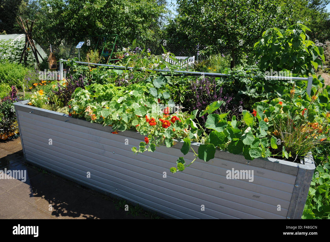 Raised bed garden hi-res stock photography and images - Alamy