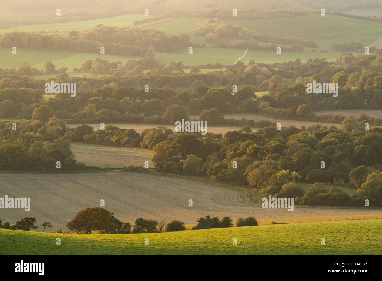 Old Winchester Hill Stock Photo - Alamy