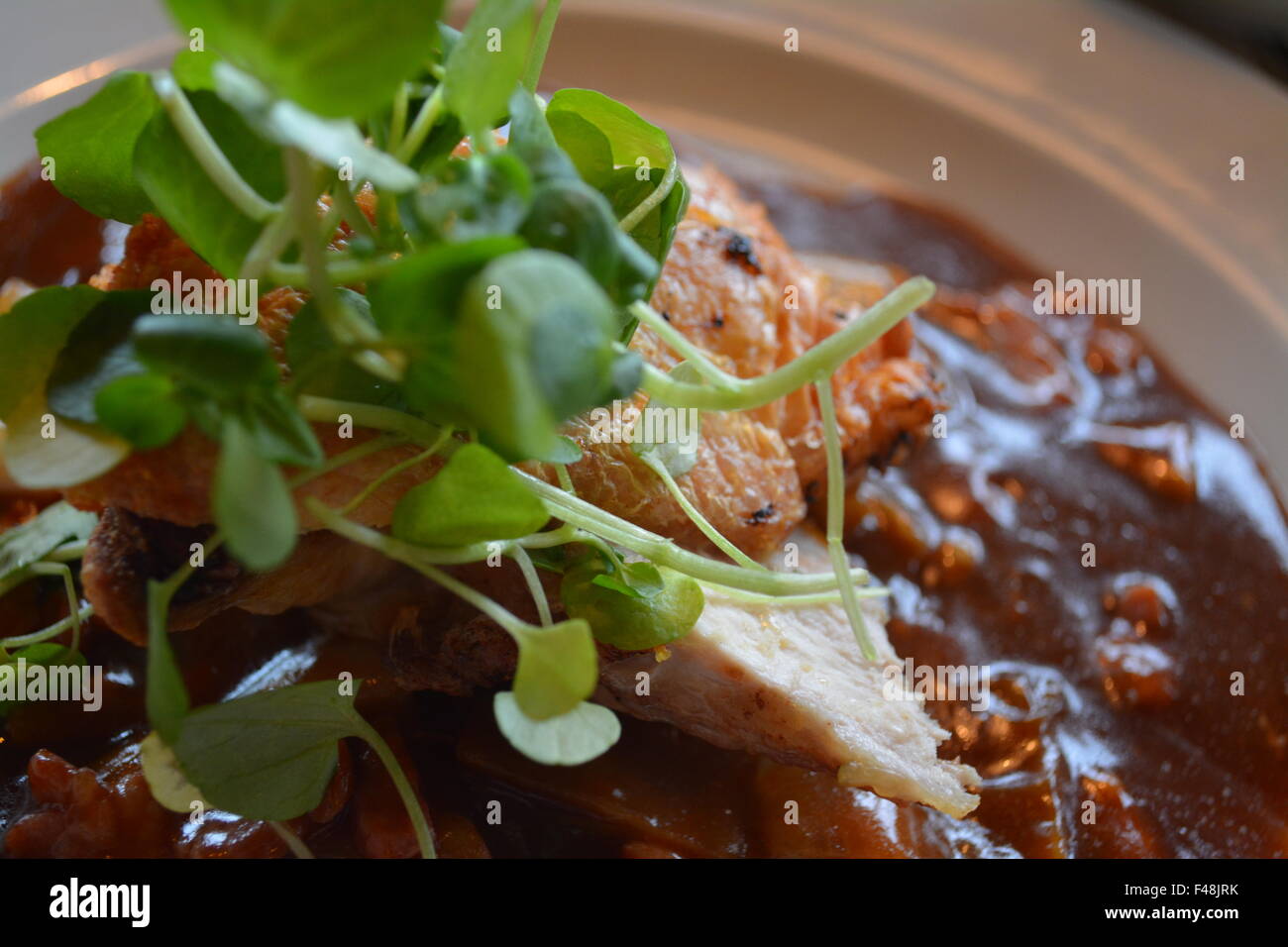 Chicken supreme hi-res stock photography and images - Alamy