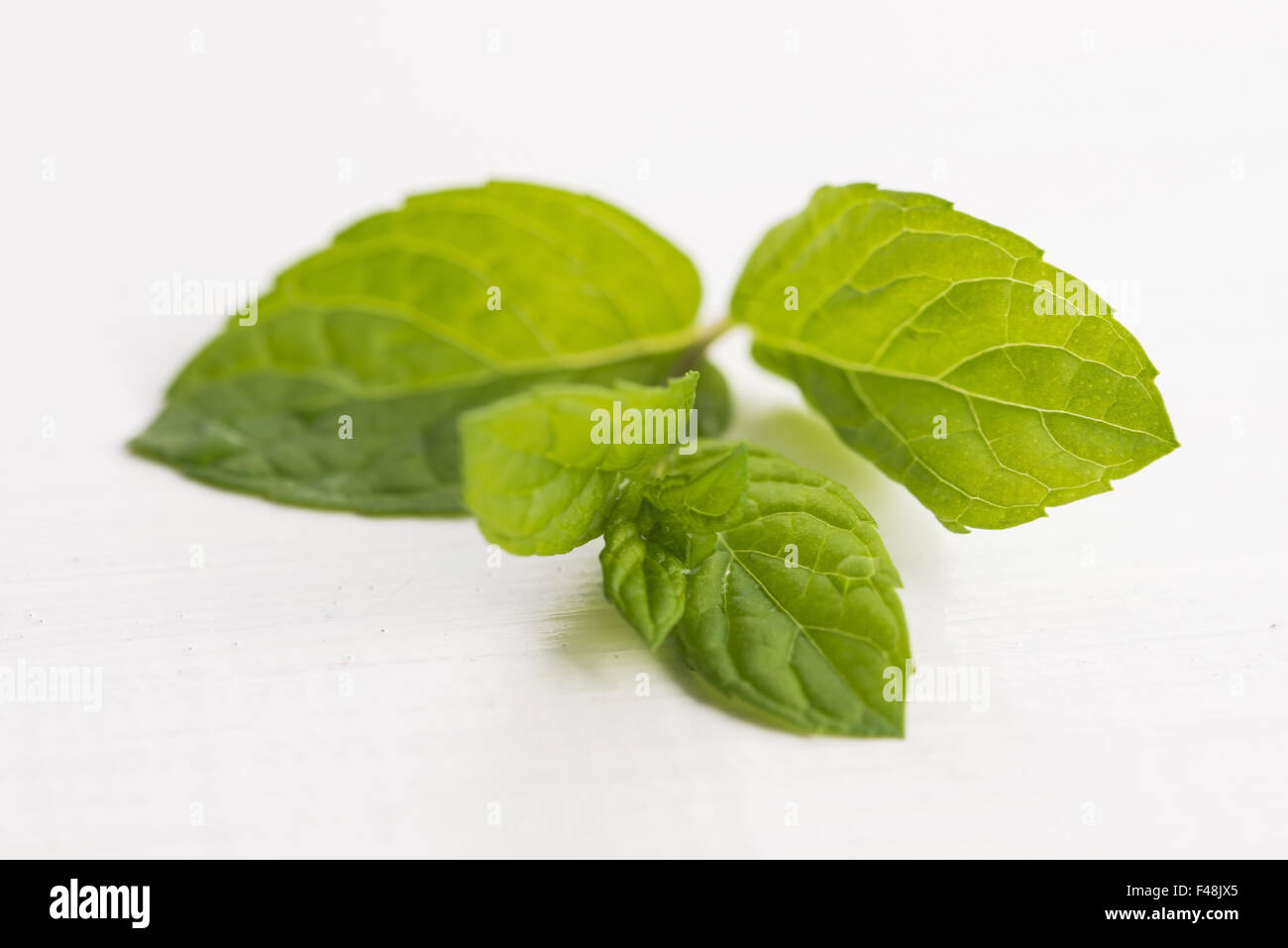 Fresh raw mint leaves isolated on white background Stock Photo - Alamy