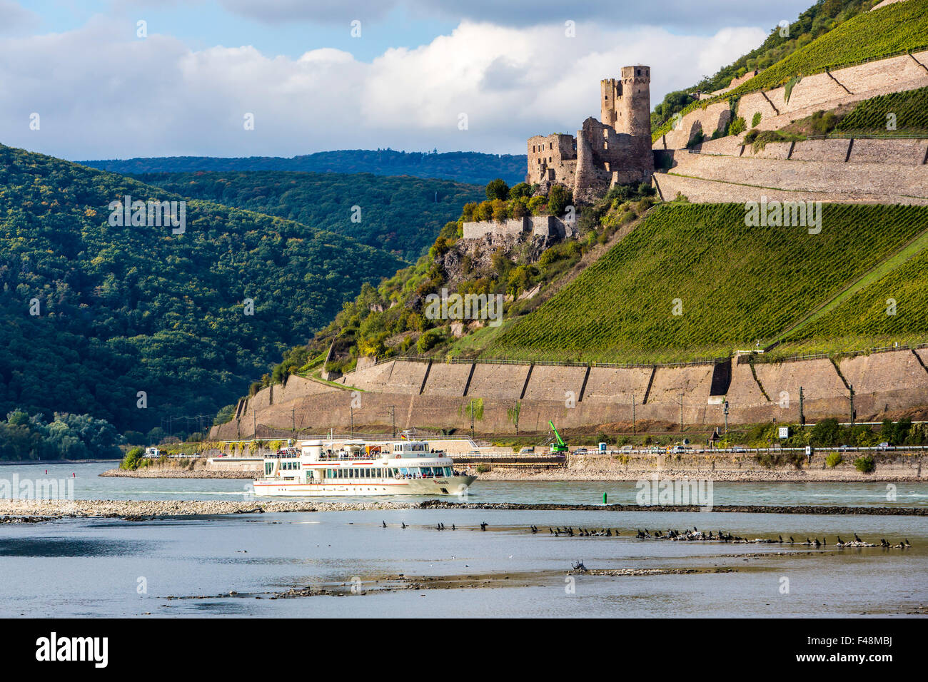 Upper middle Rhine valley, vineyards in steep hills, along river Rhine ...