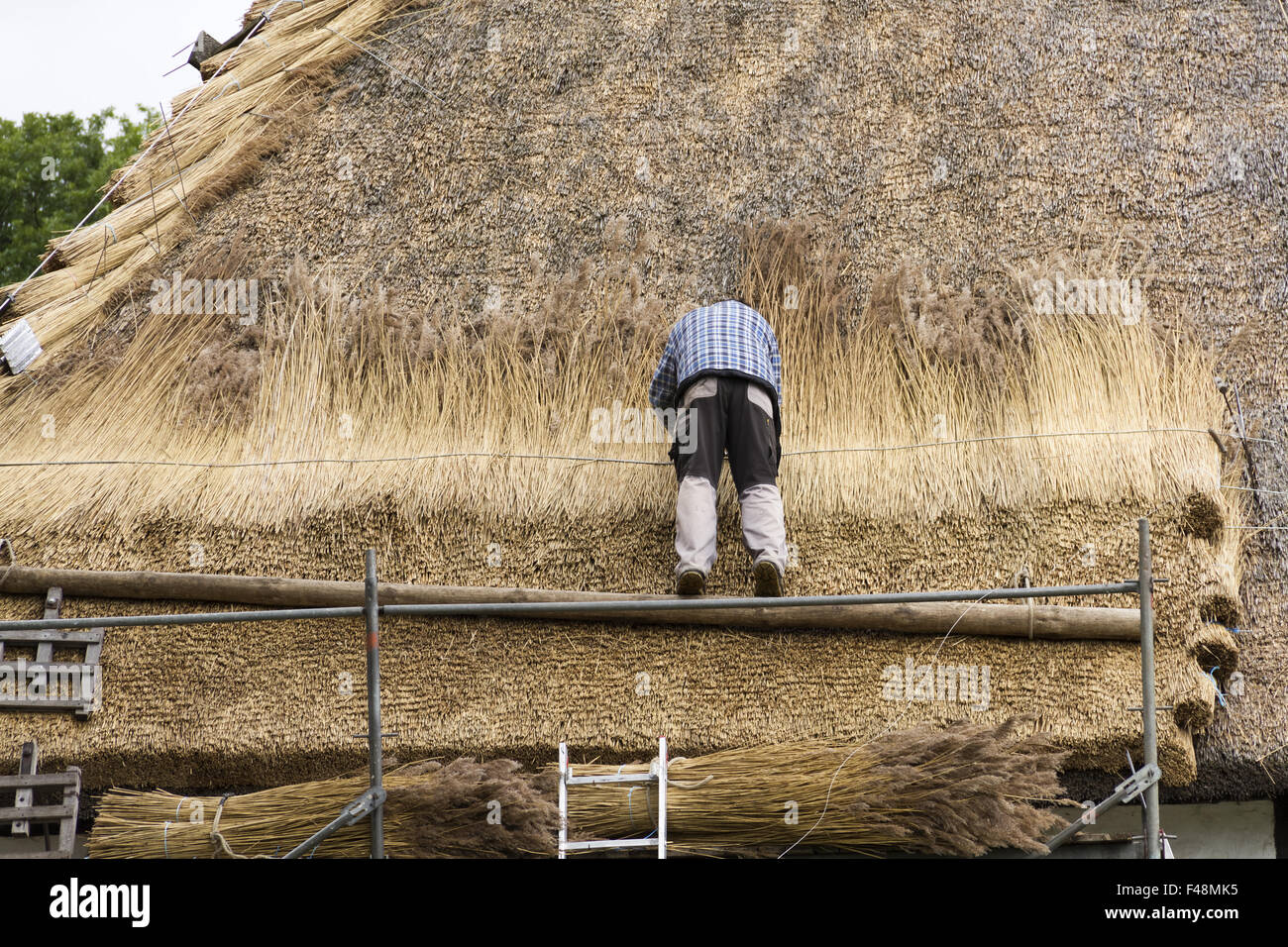 thatcher at work Stock Photo - Alamy