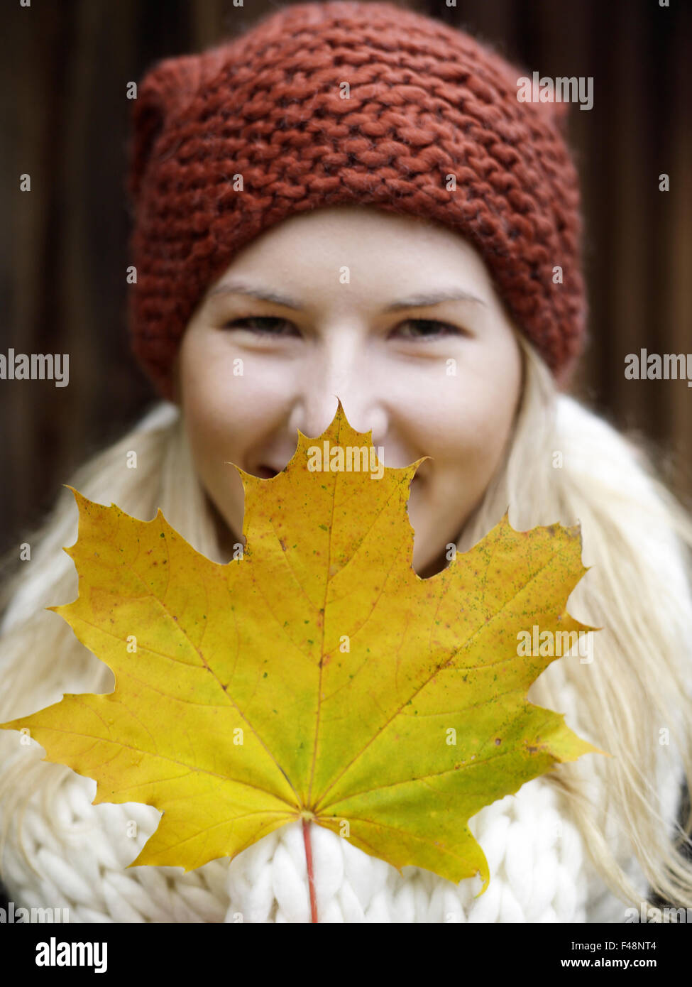 20 leaves hi-res stock photography and images - Alamy
