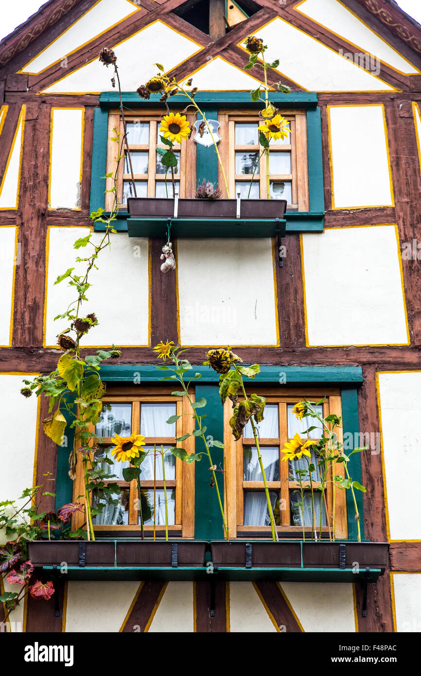 Old German Style House Fall German House Exterior Photos, Images