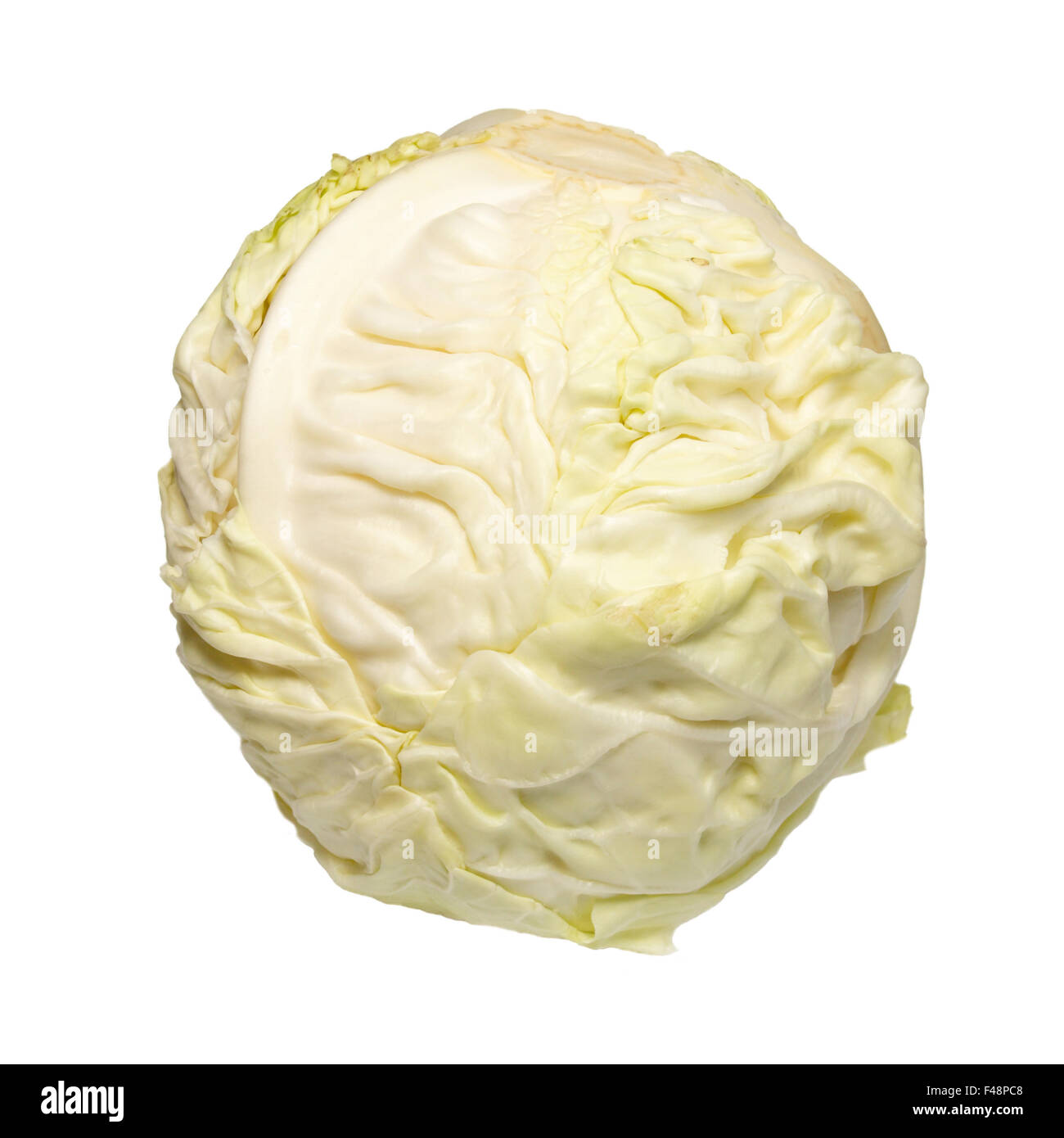 Cabbage head organic large hi-res stock photography and images - Alamy