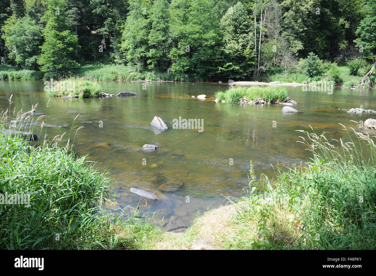 The river Regen Stock Photo - Alamy