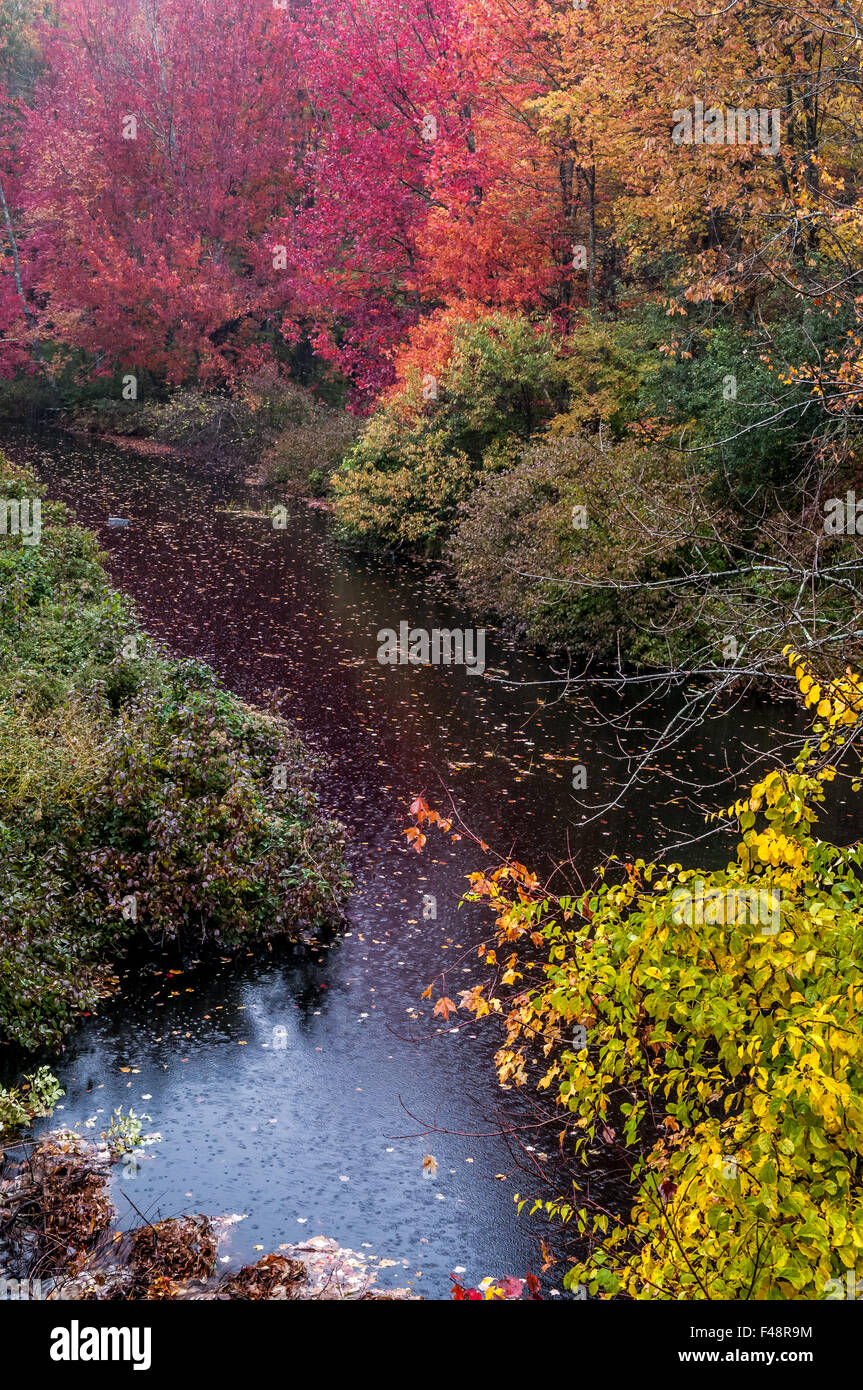 To bring out the very rich colors in nature hi-res stock photography ...