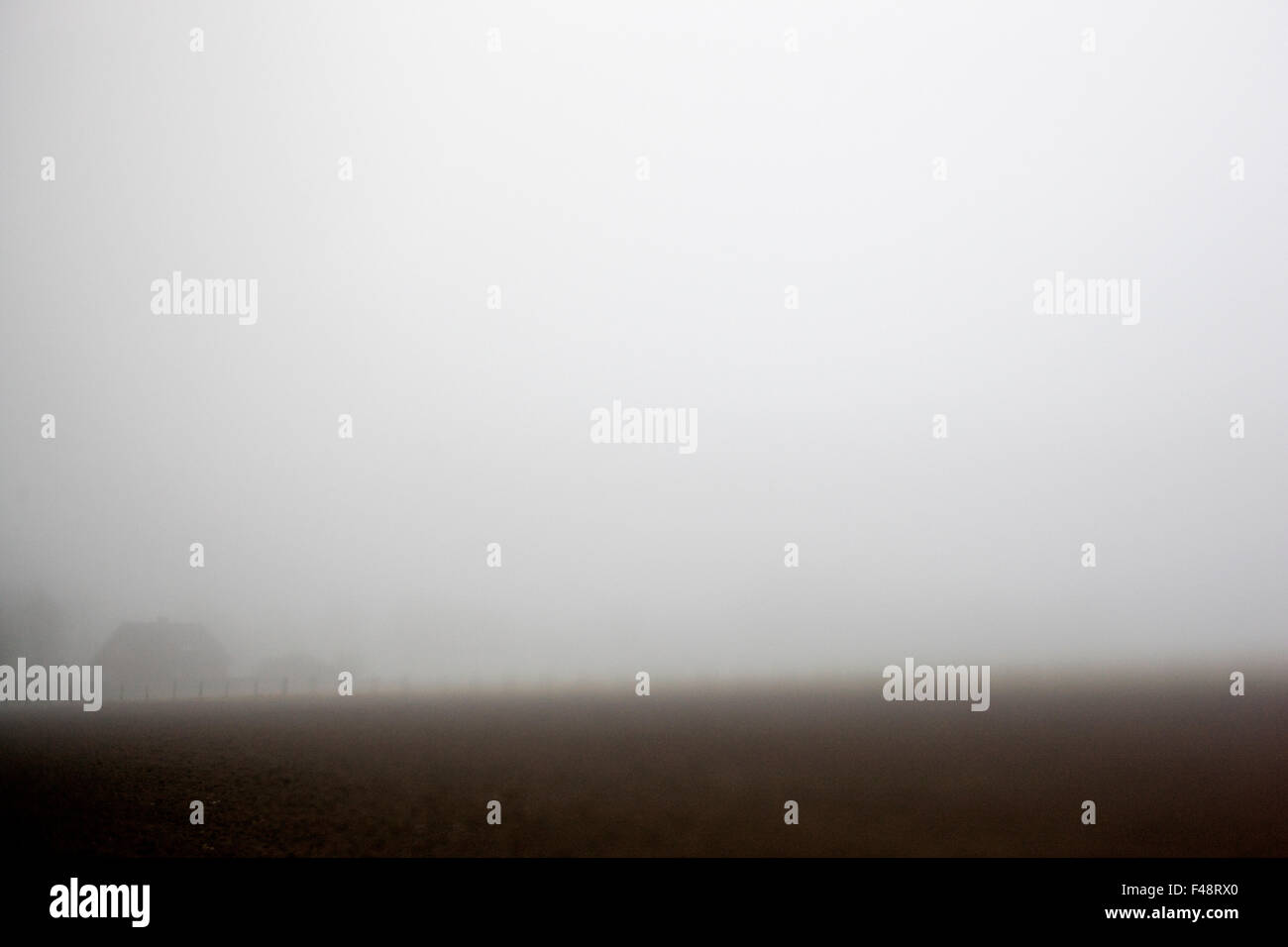 Fog in the field hi-res stock photography and images - Alamy