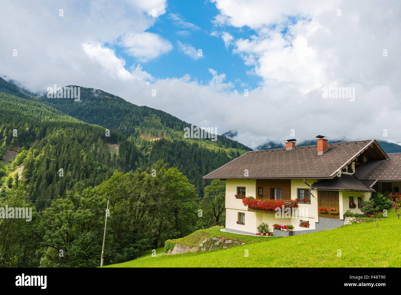Traditional alpine house in green forest mountains. Horizontal shot ...