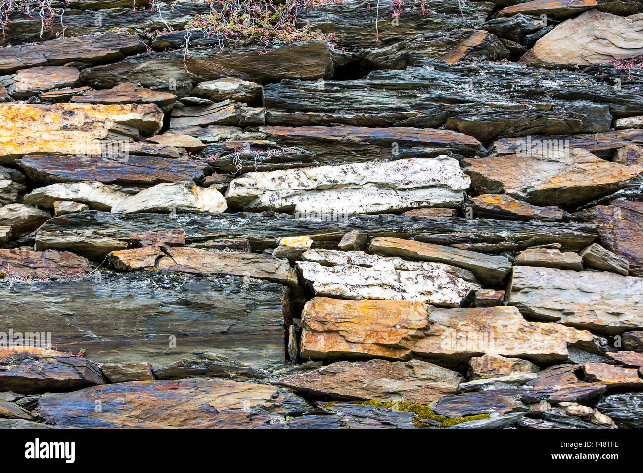 Rhine stones hi-res stock photography and images - Alamy