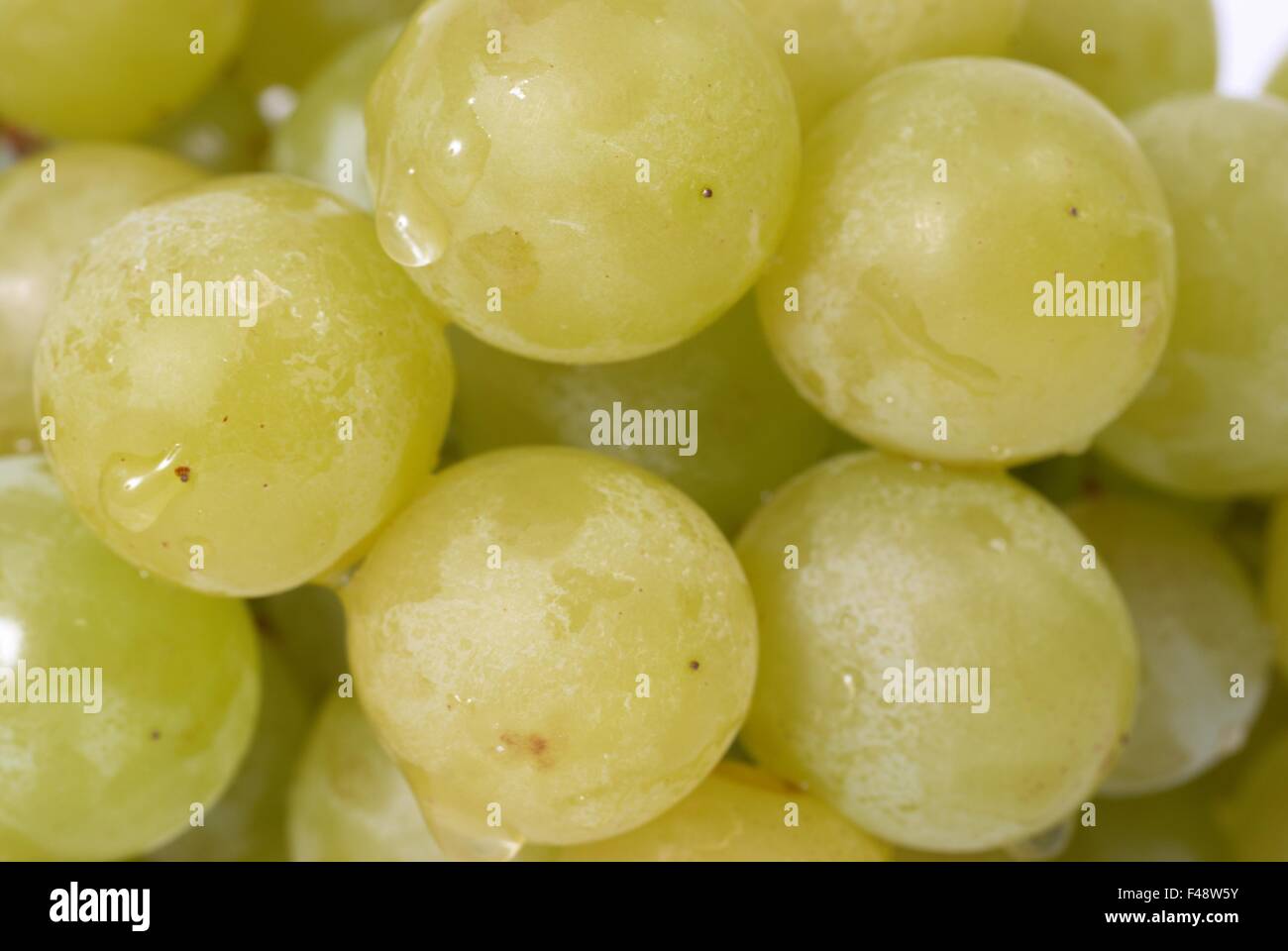 Grapes white hi-res stock photography and images - Alamy