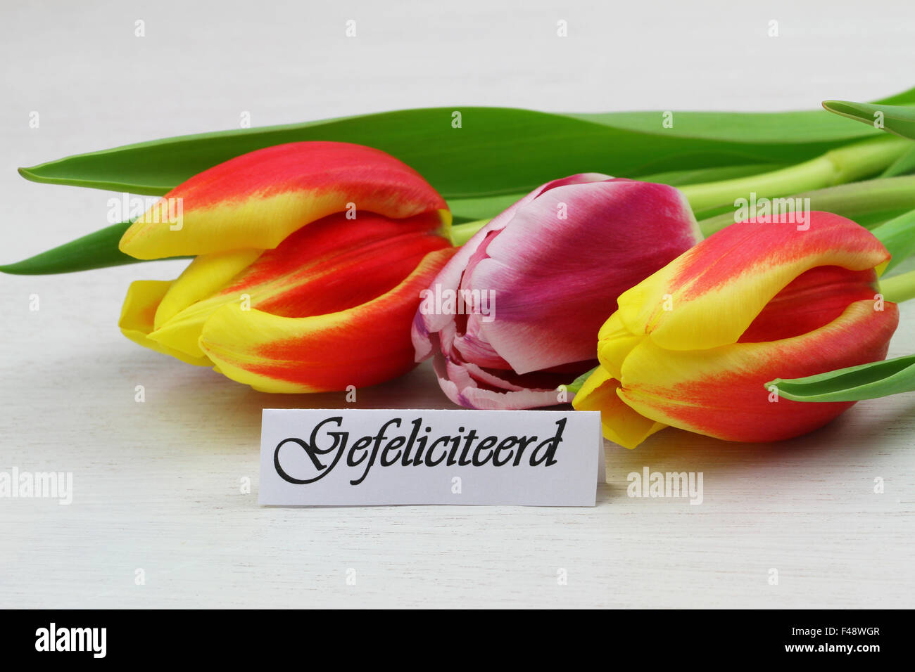Gefeliciteerd, which means congratulations in Dutch, with colorful ...