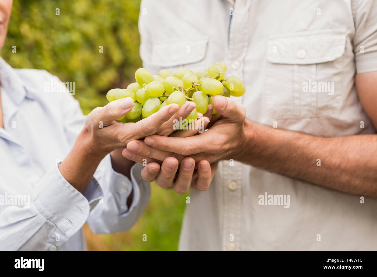 Green grape hi-res stock photography and images - Alamy