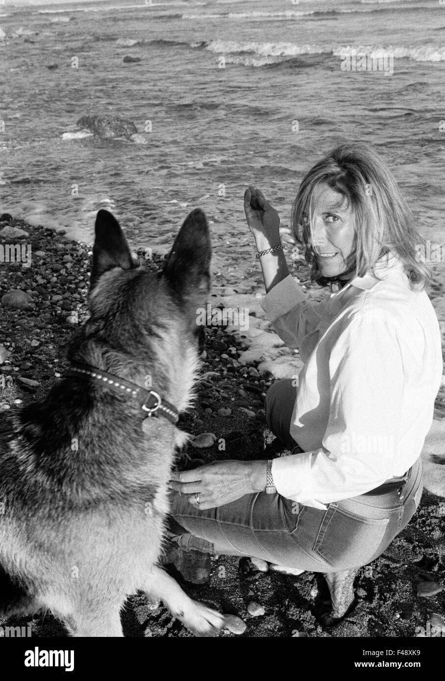 White german shepherd black Black and White Stock Photos & Images - Alamy