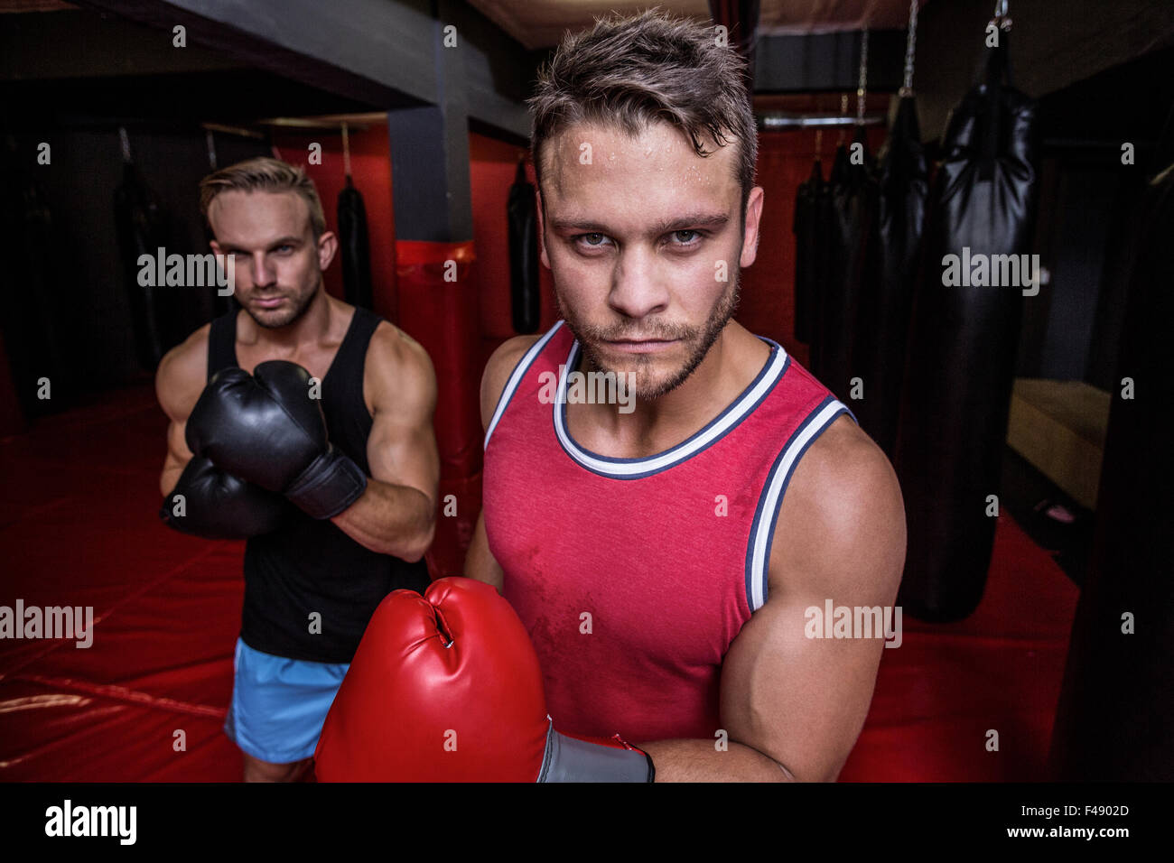 Boxing men looking at the camera Stock Photo - Alamy
