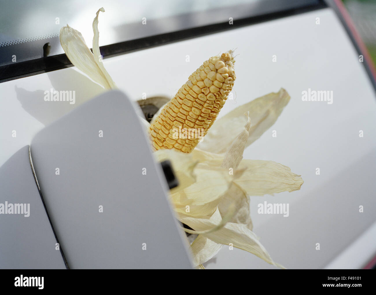A corncob in the tank of a car Stock Photo - Alamy