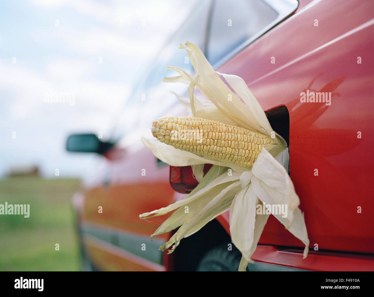 A corncob in the tank of a car Stock Photo - Alamy