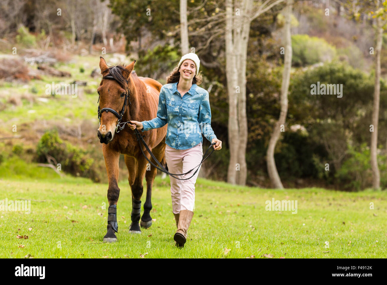 Walking horse hi-res stock photography and images - Alamy
