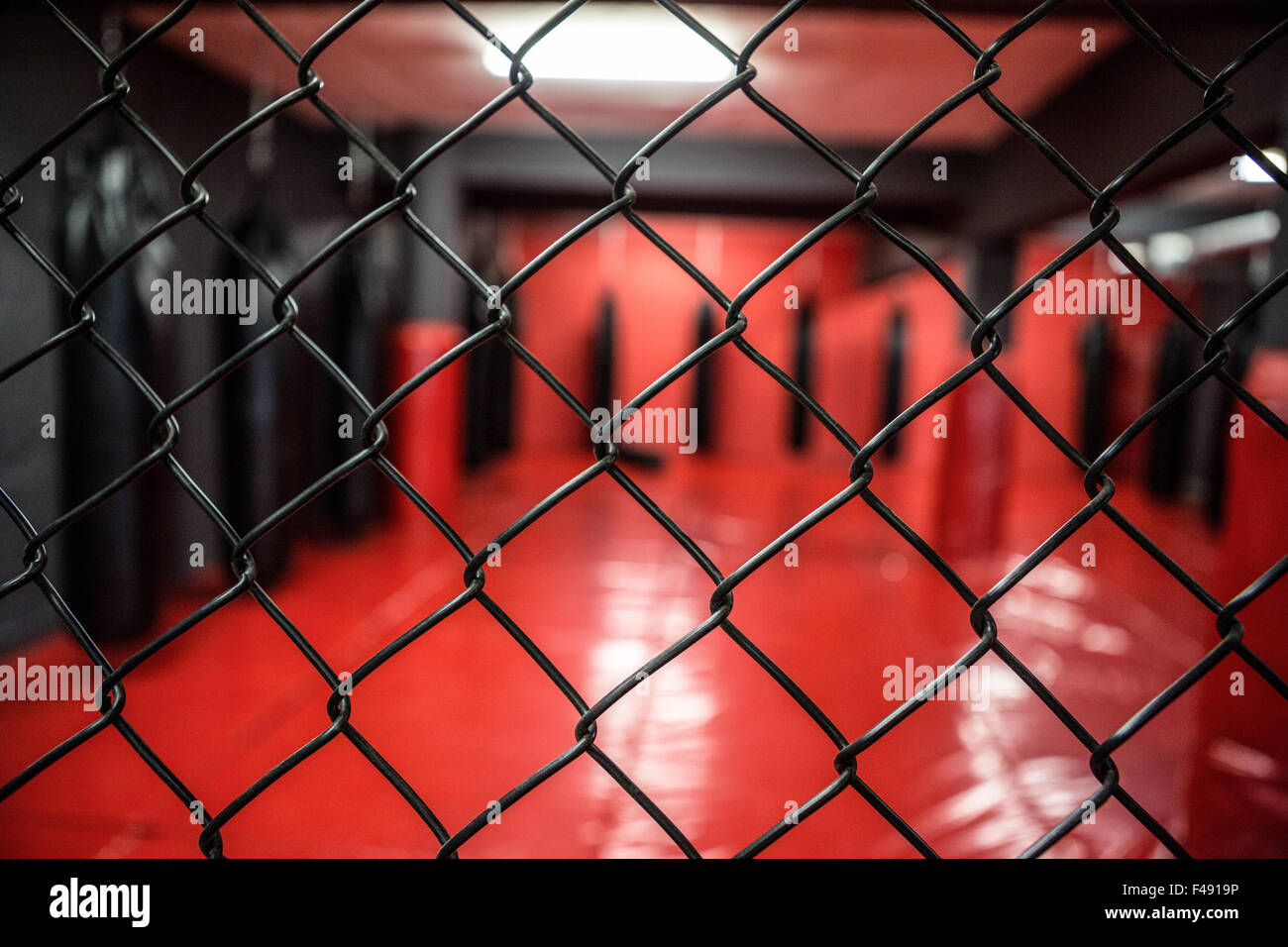 Boxing area behind fence Stock Photo - Alamy