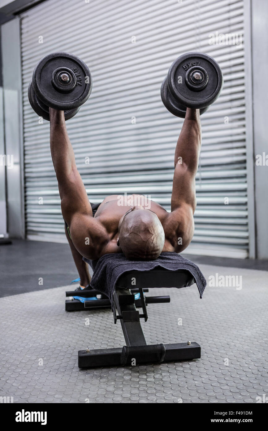 Young Bodybuilder doing weightlifting Stock Photo - Alamy