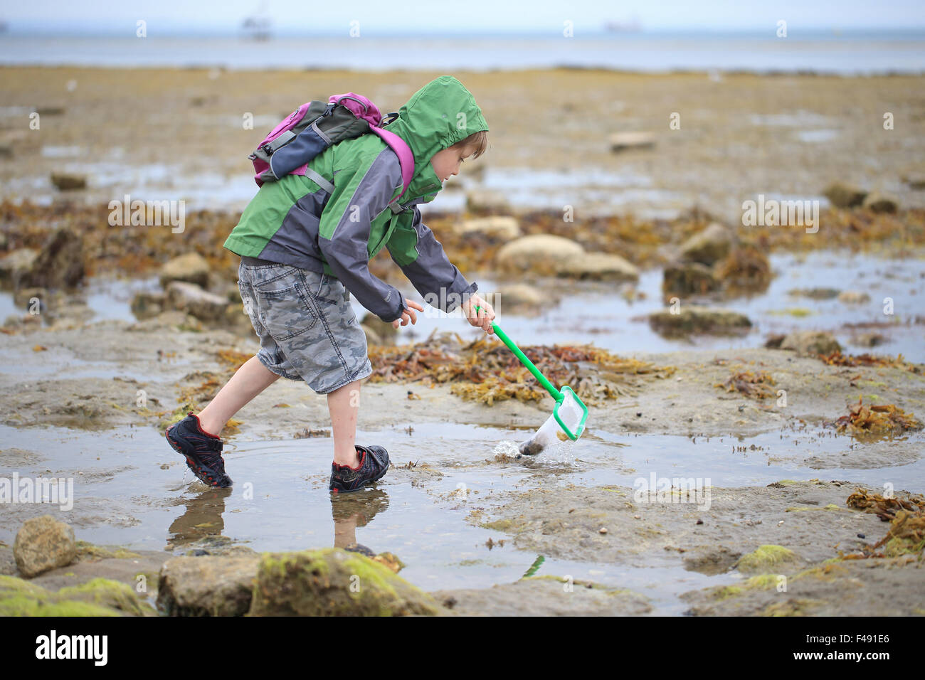 Rockpools rockpooling hi-res stock photography and images - Alamy
