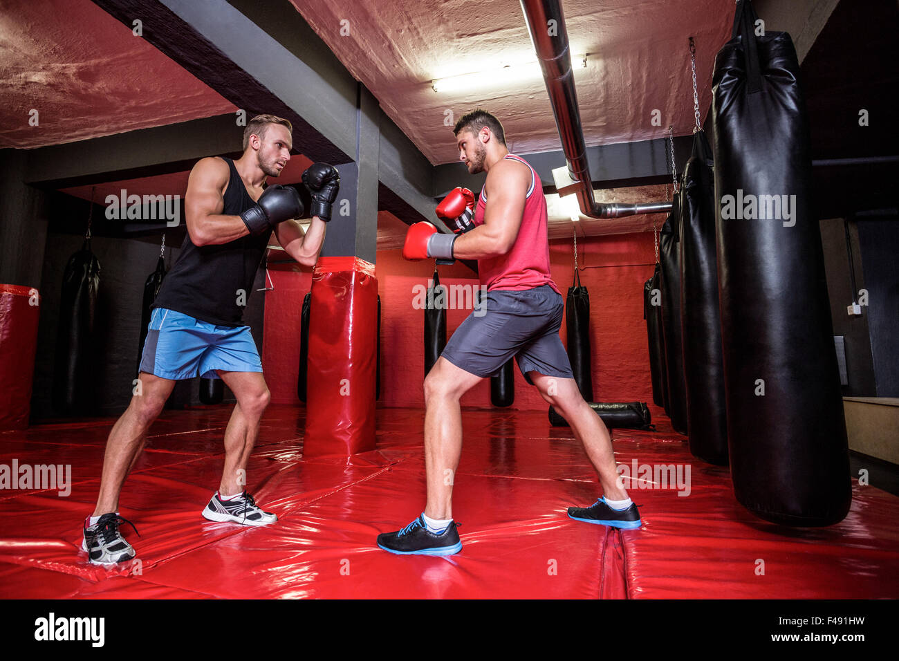 Two fists together hi-res stock photography and images - Alamy