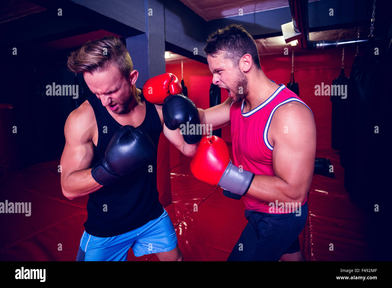 Two boxing men exercising together Stock Photo - Alamy