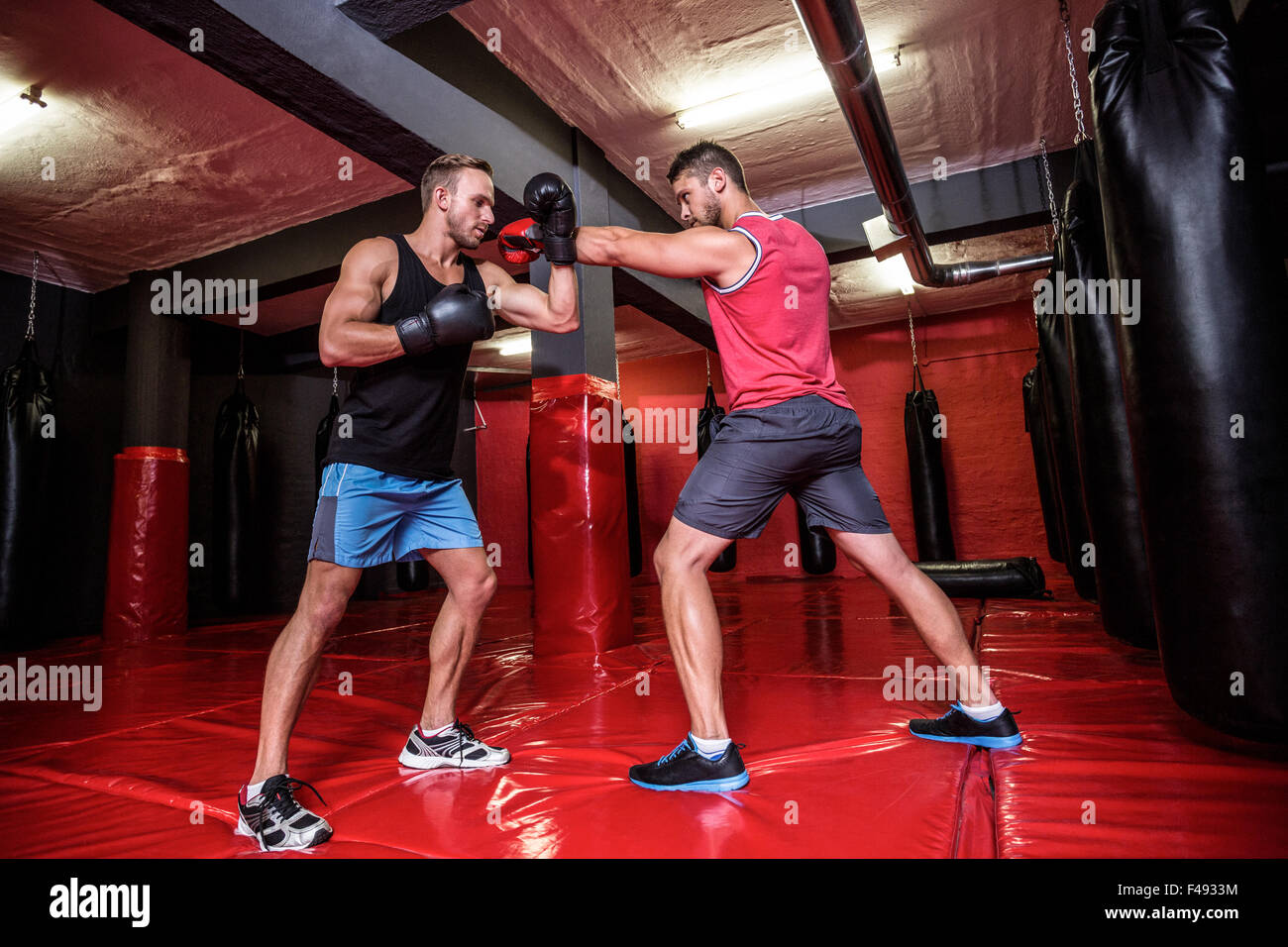 Two boxing men exercising together Stock Photo - Alamy