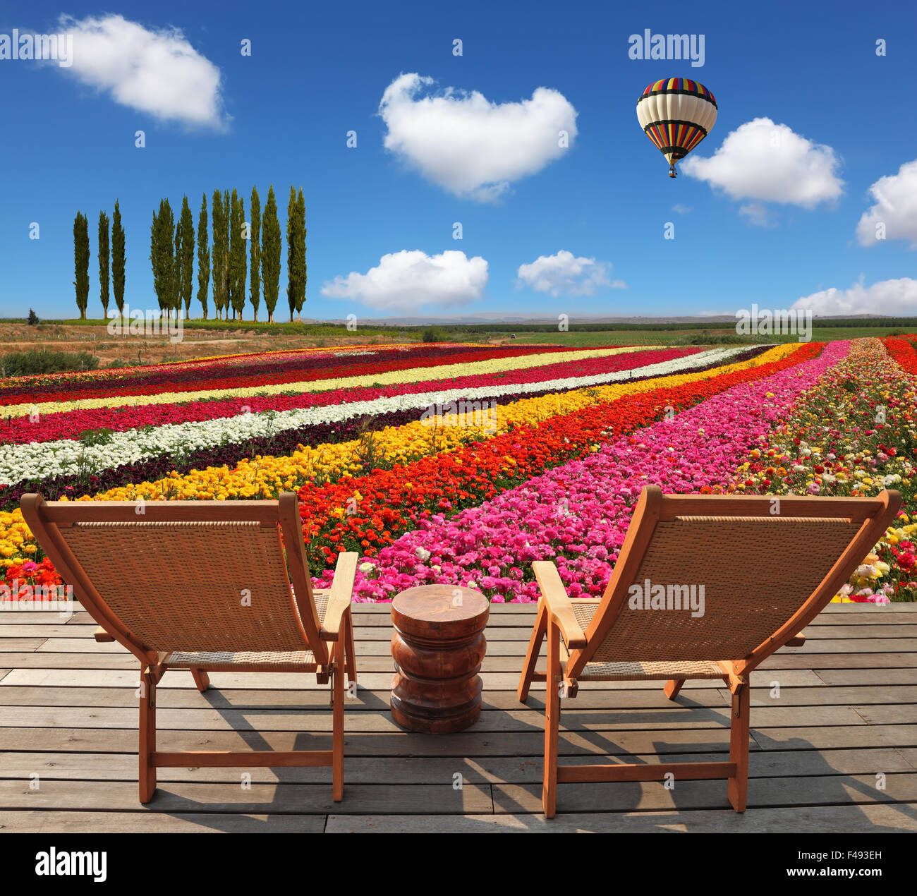 Huge balloon flies over the field Stock Photo - Alamy