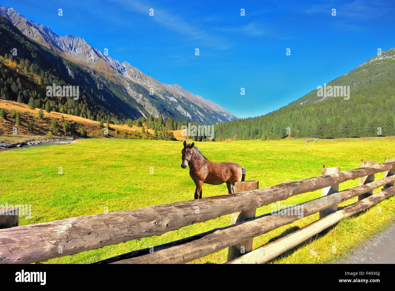 Pastoral ranch scene hi-res stock photography and images - Alamy