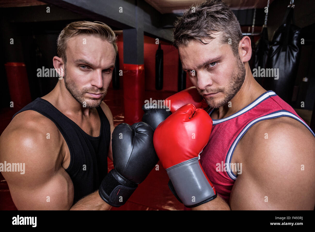 Two boxing men exercising together Stock Photo - Alamy