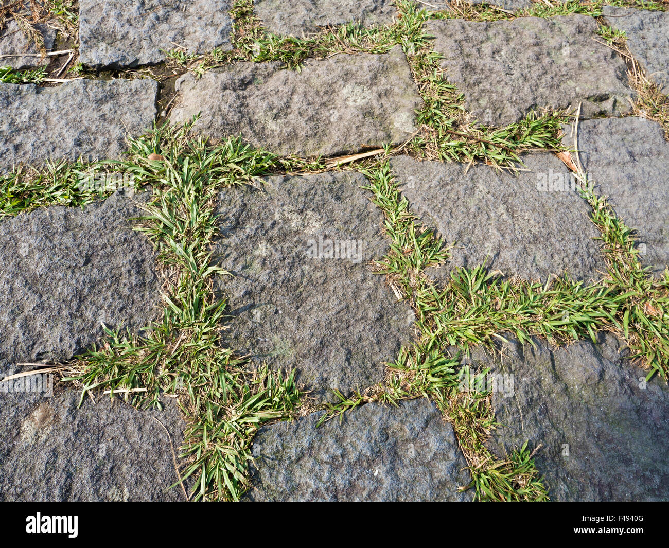 Cobblestone with grass texture hi-res stock photography and images - Alamy