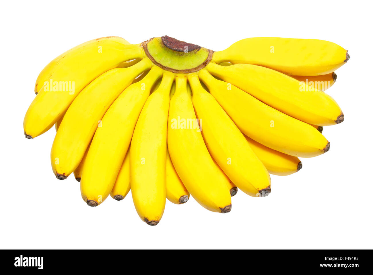 Small bu hi-res stock photography and images - Alamy