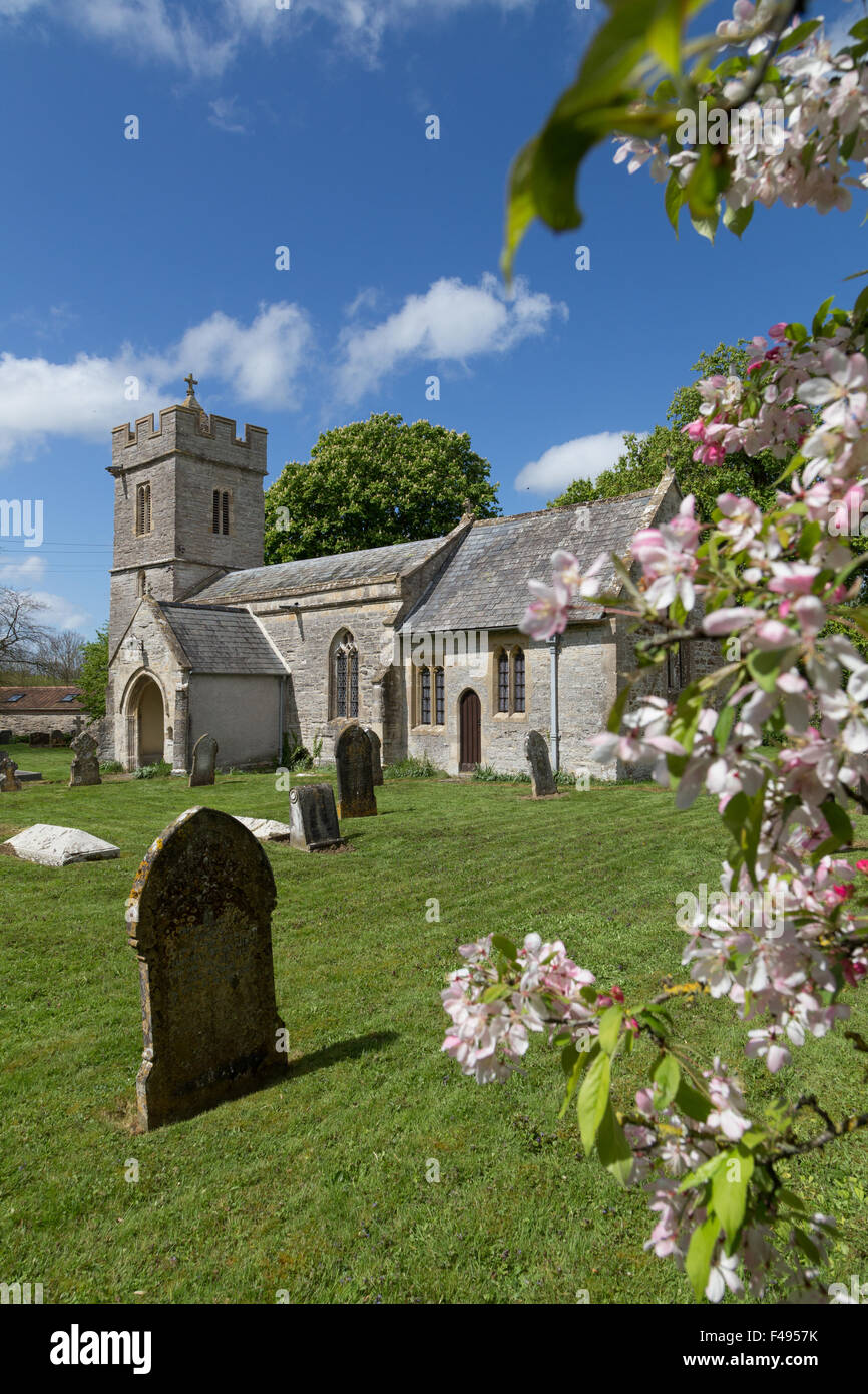 North Bradley Church and graveyard in Spring against green grass and ...