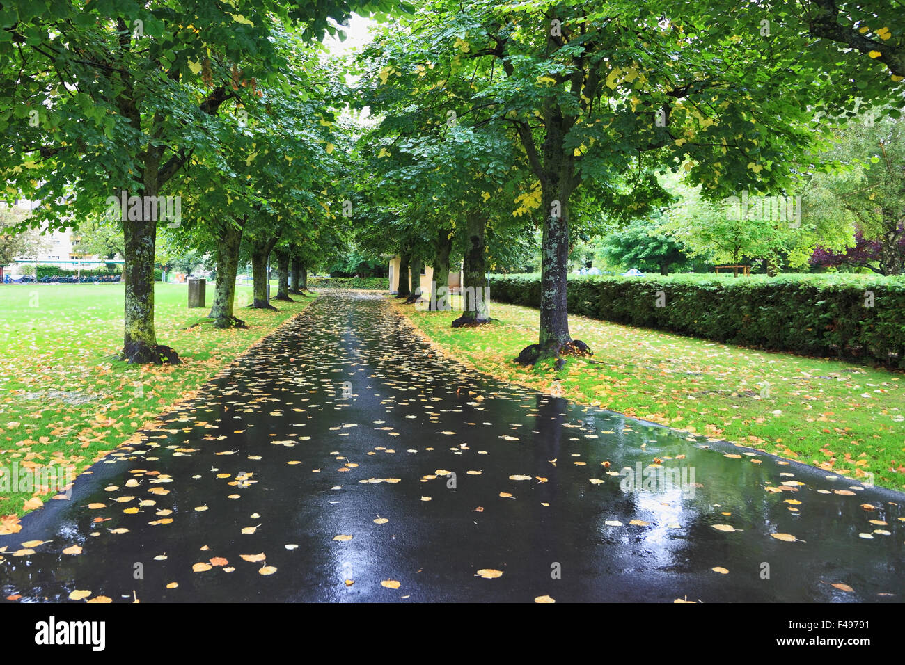 Alley after a rain Stock Photo - Alamy