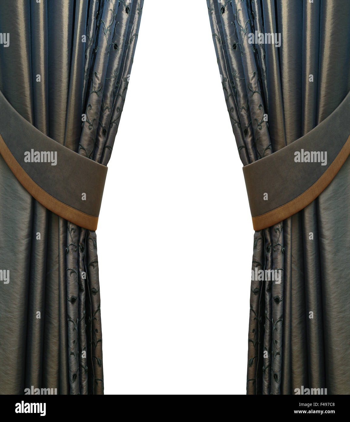 Fimbria hi-res stock photography and images - Alamy