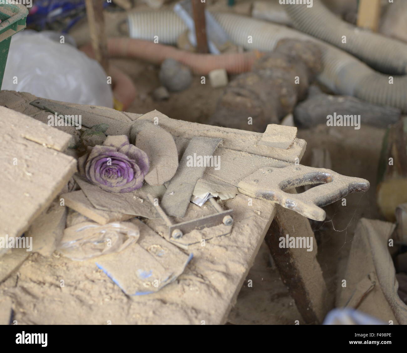 Rose dust hi-res stock photography and images - Alamy