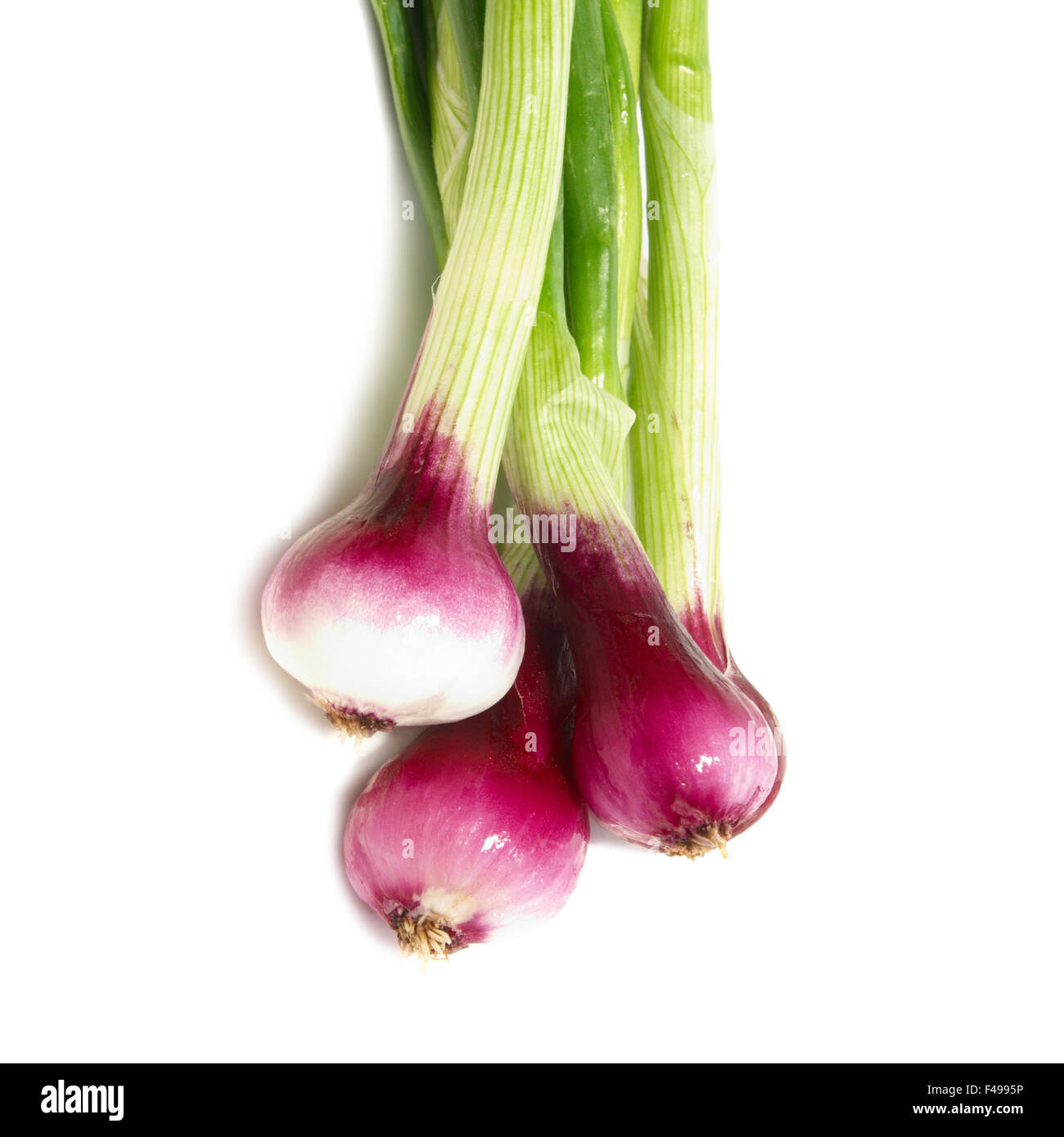 Pure white onions hi-res stock photography and images - Alamy