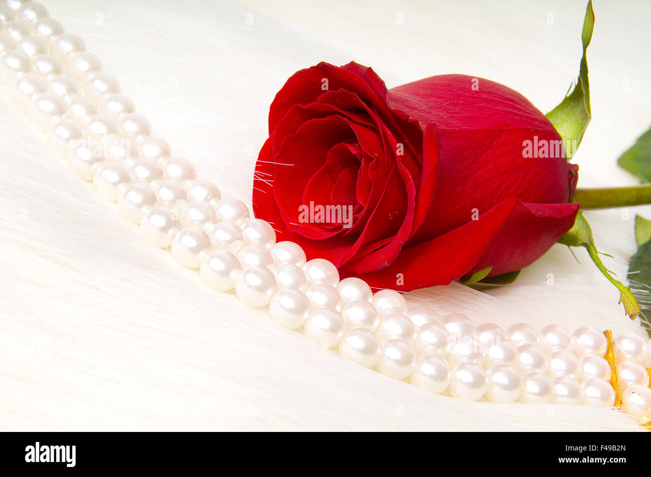 Beautiful red rose beads hi-res stock photography and images - Alamy