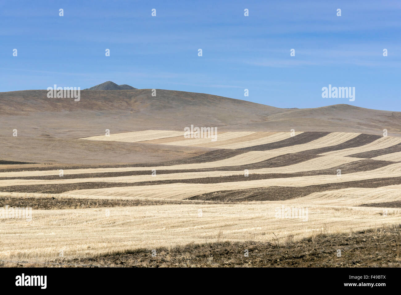 Mongolian steppes hi-res stock photography and images - Alamy