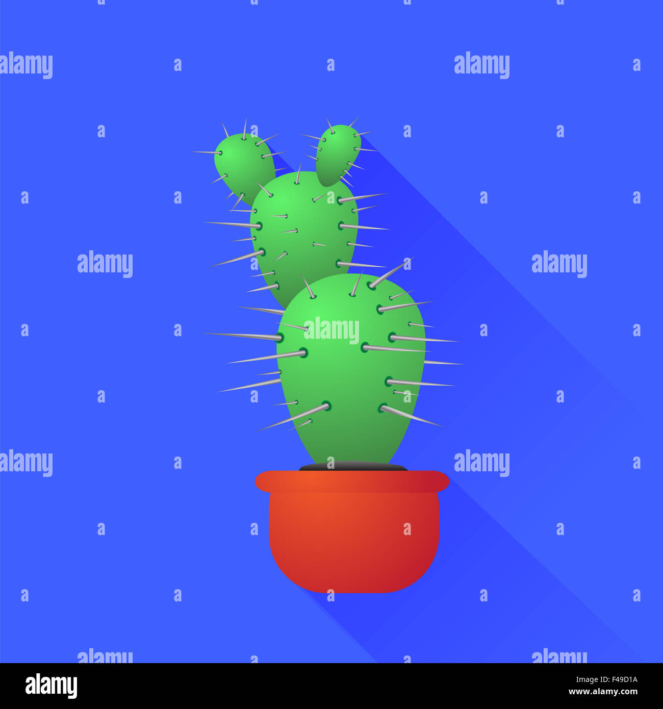 Smooth cactus hi-res stock photography and images - Alamy