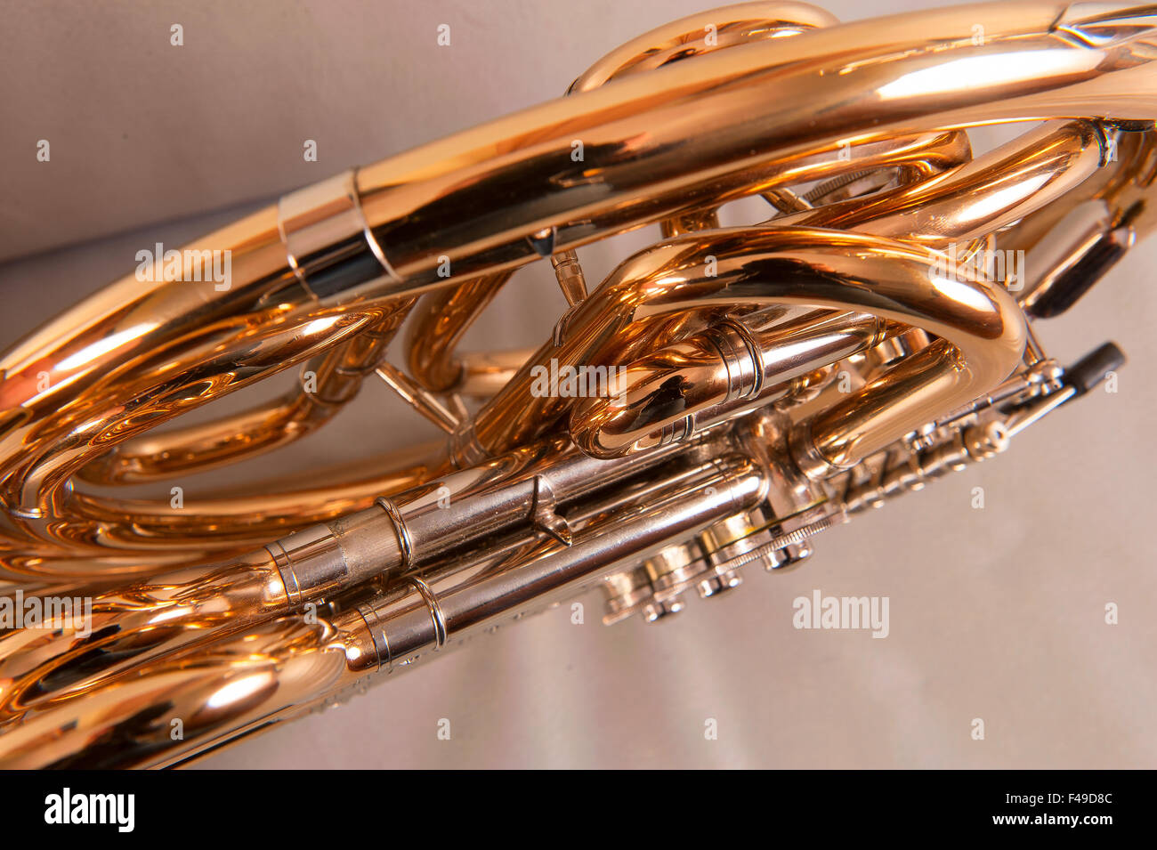 One french horn on grey background Stock Photo - Alamy