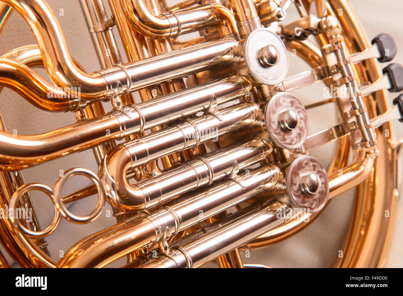 French Horn On White Background Stock Photos & French Horn On White ...