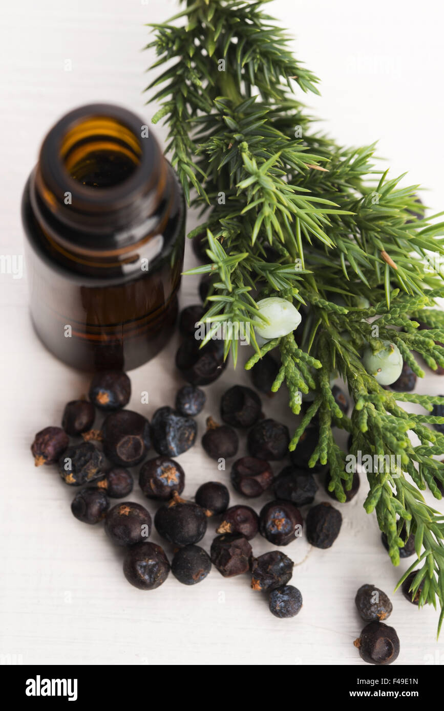 juniper essential oil Stock Photo - Alamy