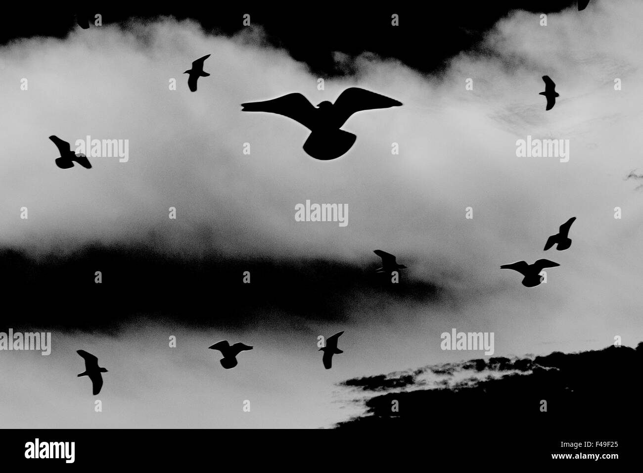 Berlin city center church Black and White Stock Photos & Images - Alamy