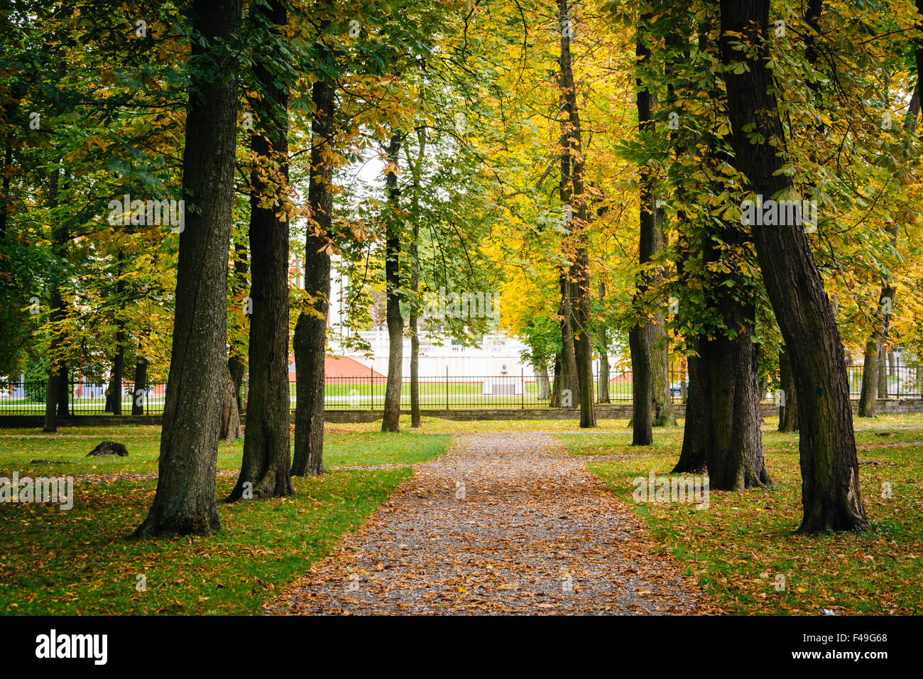 Early autumn color seen at Kadrioru Park, in Tallinn, Estonia Stock ...